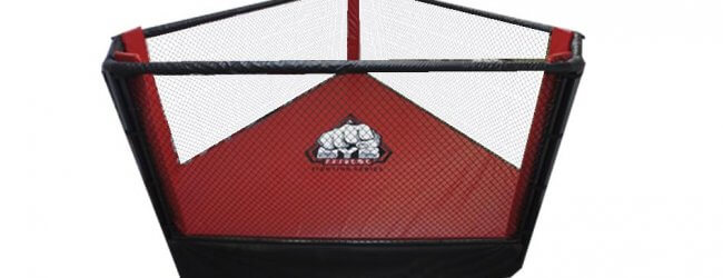 BYB Extreme ziet driehoek kooi 'Trigon' als groot succes MMA DNA